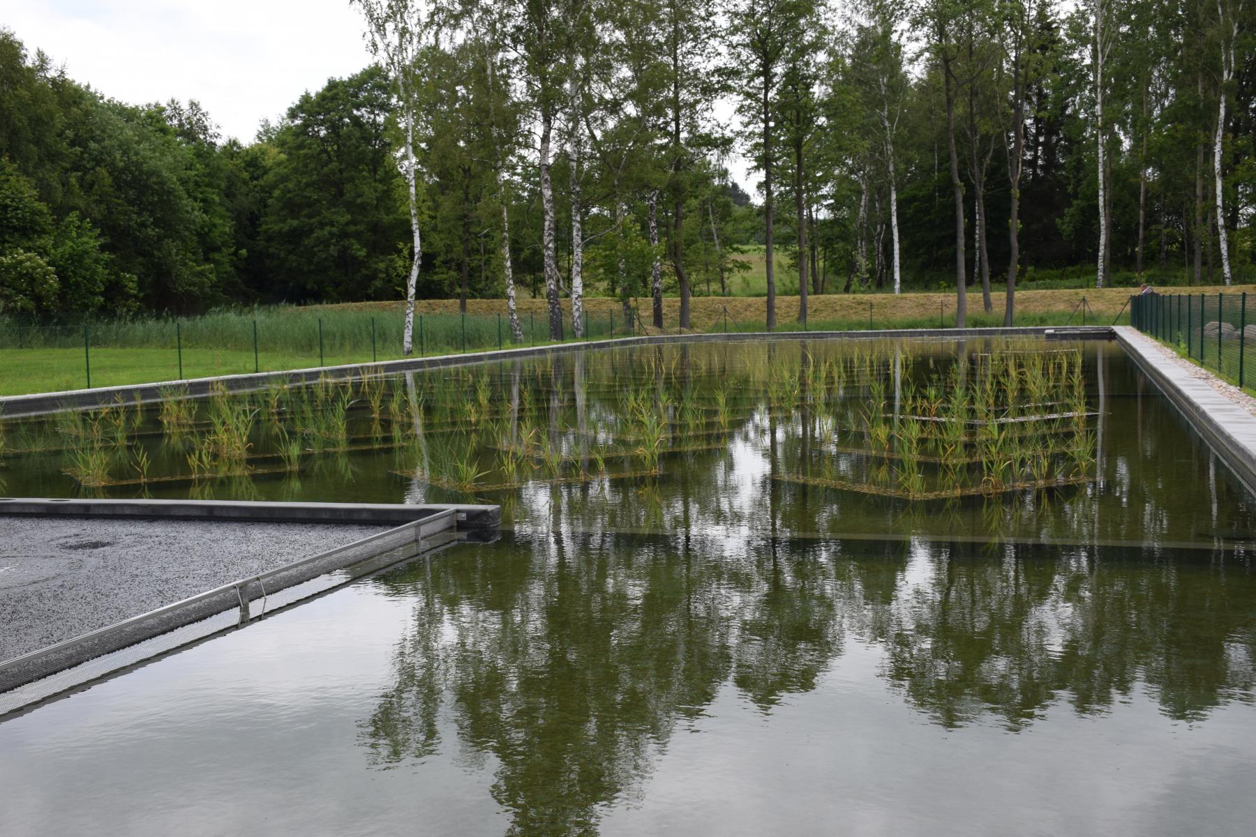 Fotoreportáž: Hlinsko otevřelo nové přírodní koupaliště | iHLINSKO.cz